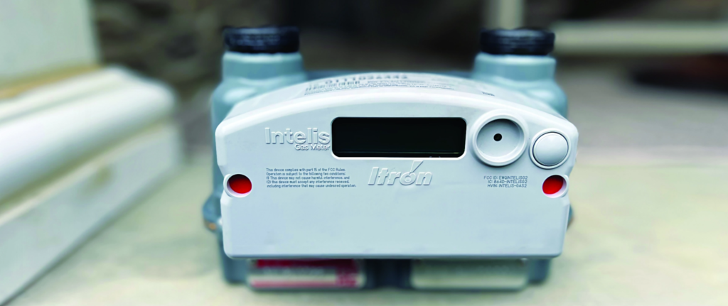 INTRODUCING YOUR NEW INTELIS 250 METER – Delta Natural Gas Company, Inc.